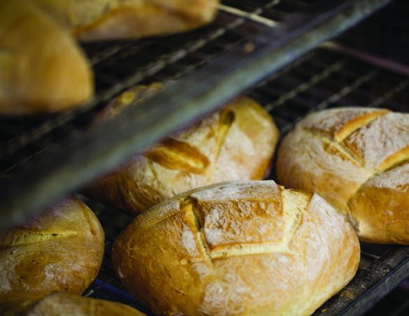 Vastese Bakery: Bread Winners - Baking Business